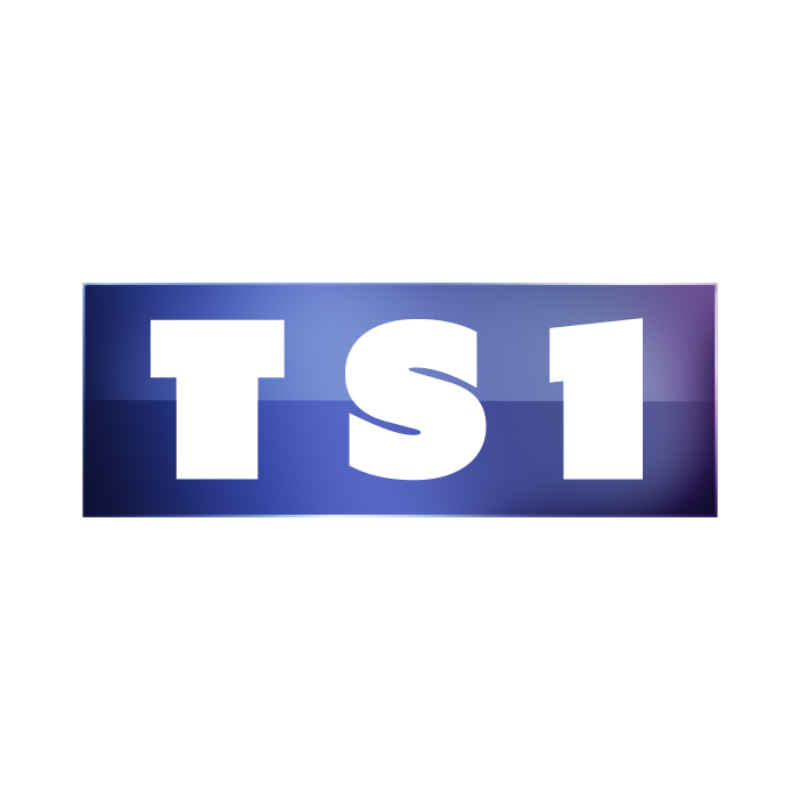 TS1 — WikiSimland 4.0